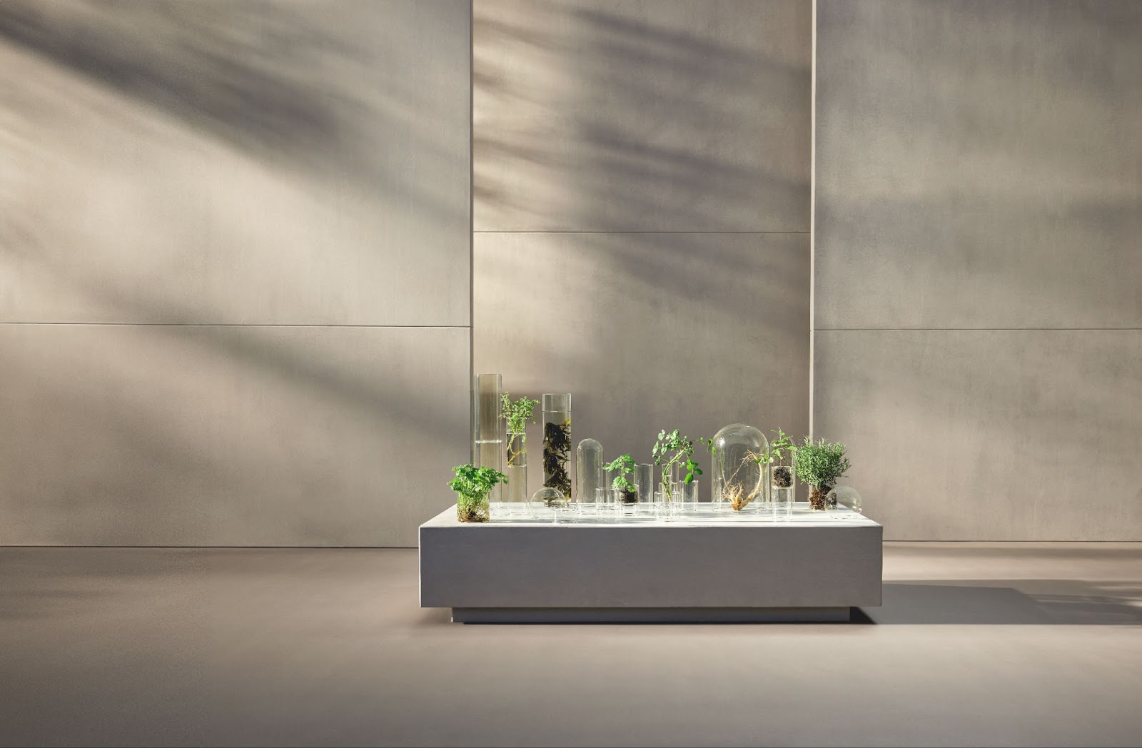 Introducing the New DOCTOR BABOR: A New Era in Skincare Excellence ...